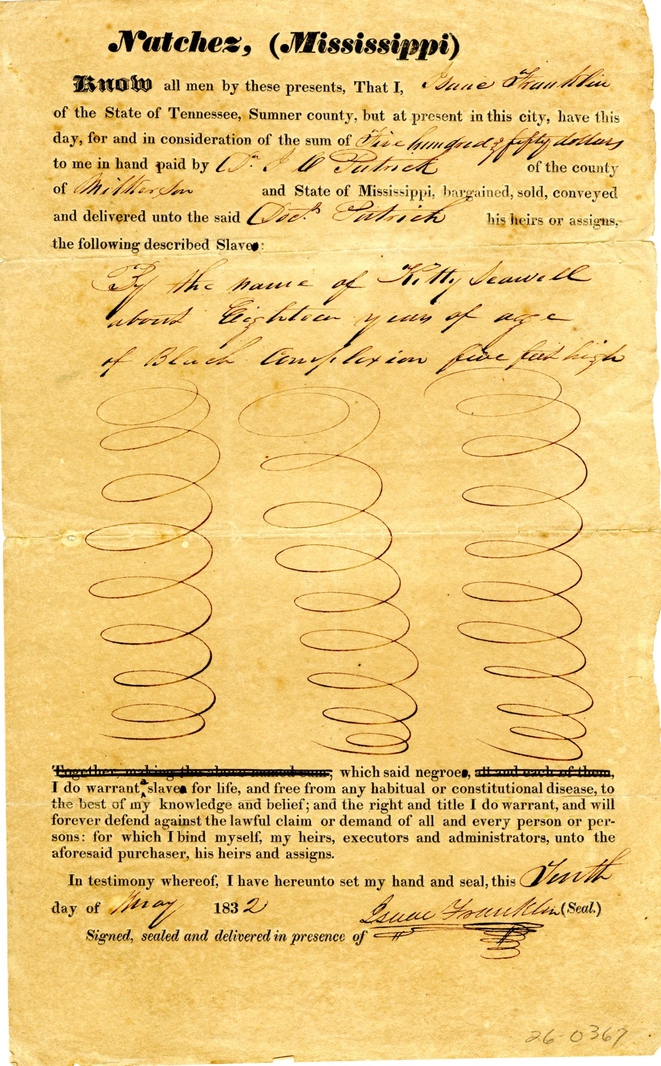 Almost Disappeared - Unearthing My Family History